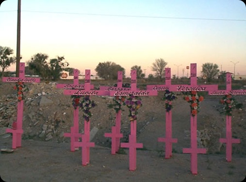 Le petit jardin de liloo: Is Mac Rodarte Collection edgy? Insensitive ...